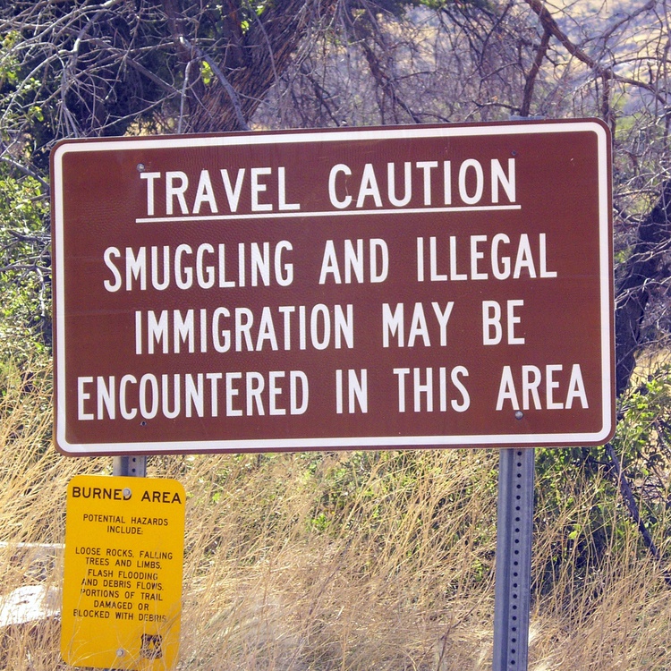 Illegal Immigration